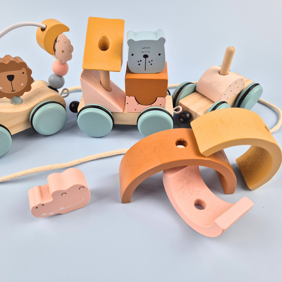 Animal Block Shape Matching & Bead Sorting Train-Early Learning ...